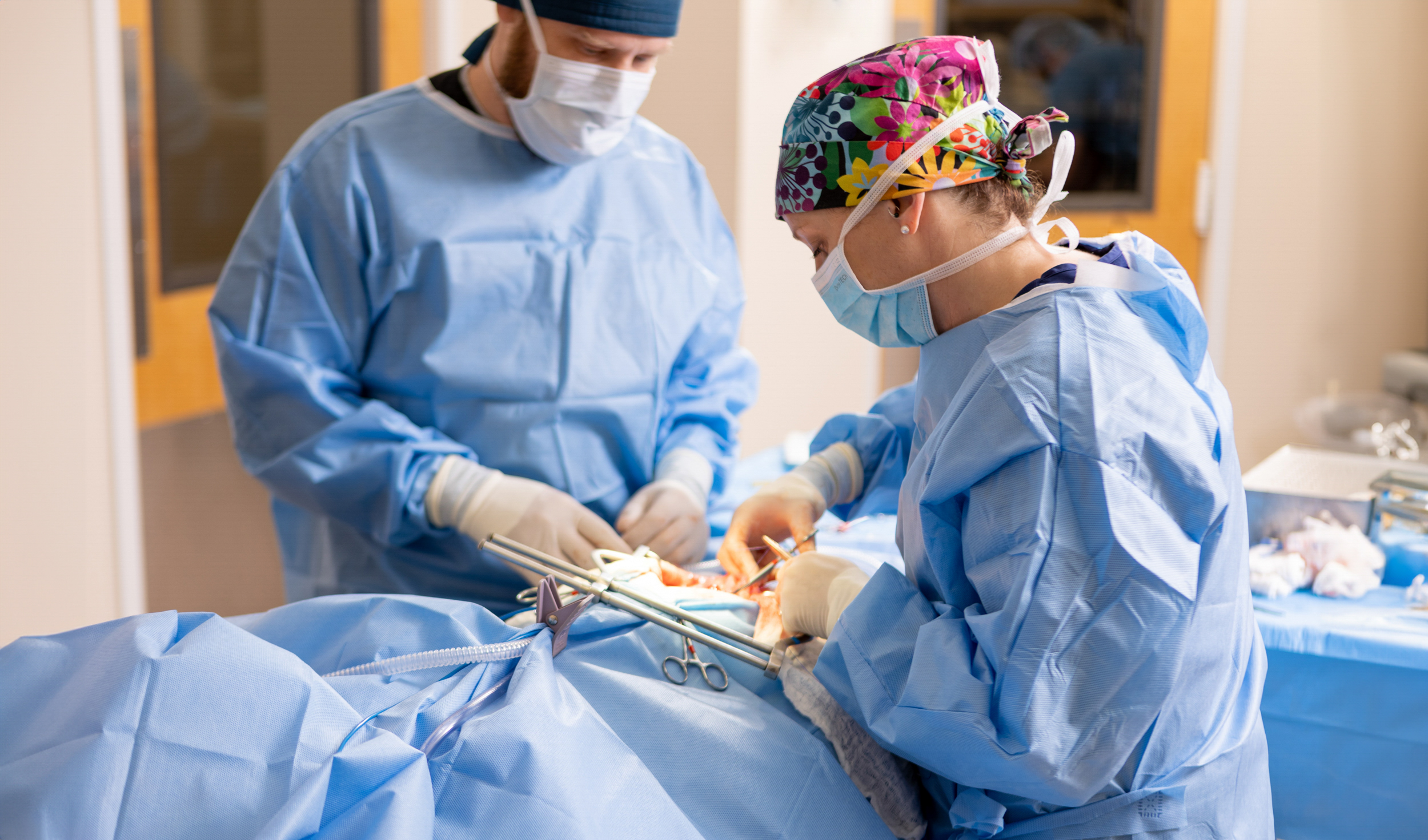 Meet Dr. Casey Havemann of "AVS", Ambulatory Veterinary Surgery - Kelly ...