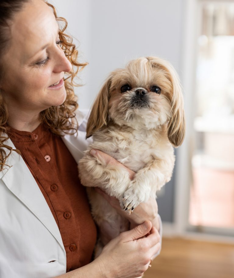Meet Dr. Casey Havemann of "AVS", Ambulatory Veterinary Surgery - Kelly ...