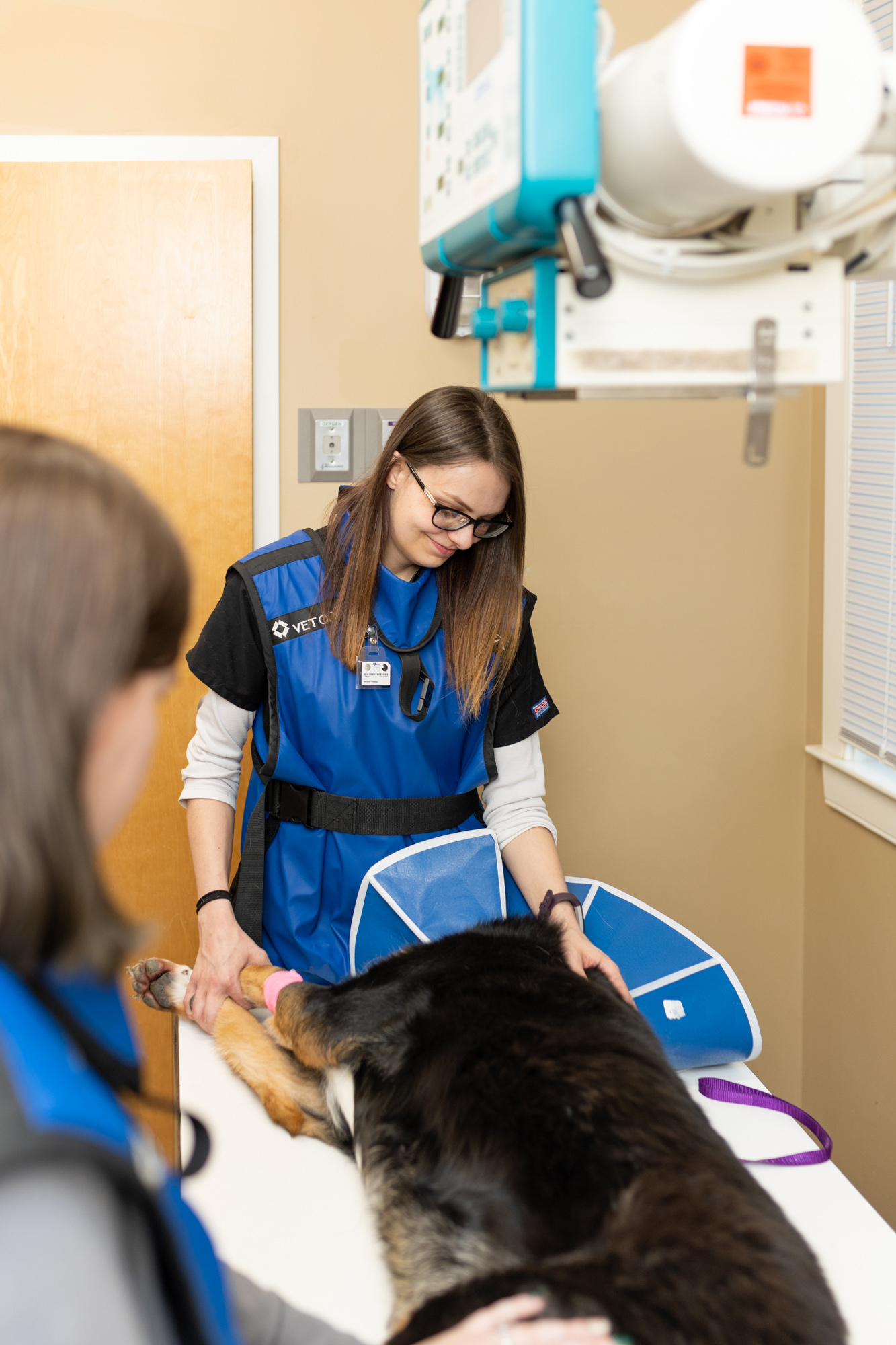 Mount Carmel Animal Hospital in Monkton, Maryland - Kelly Heck Photography